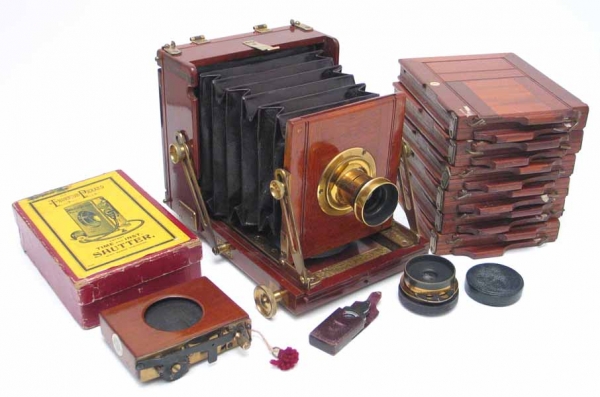 Billcliff (J. Billcliff, Manchester) 'Royalty' - Peter Loy